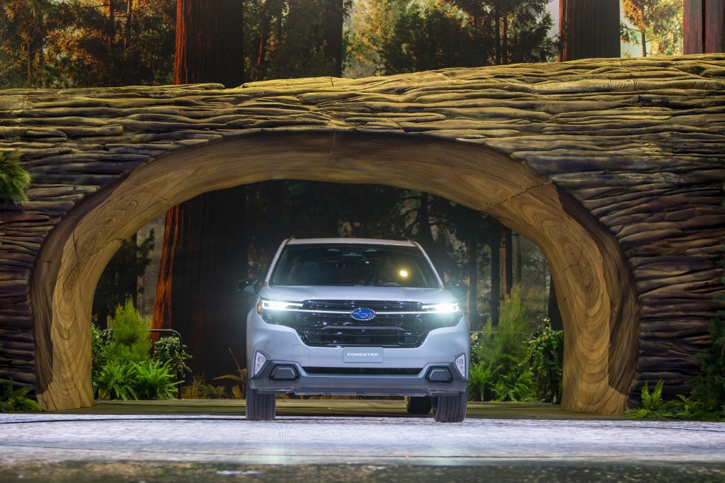 Subaru Forester Redwood Tree - ID3 Group